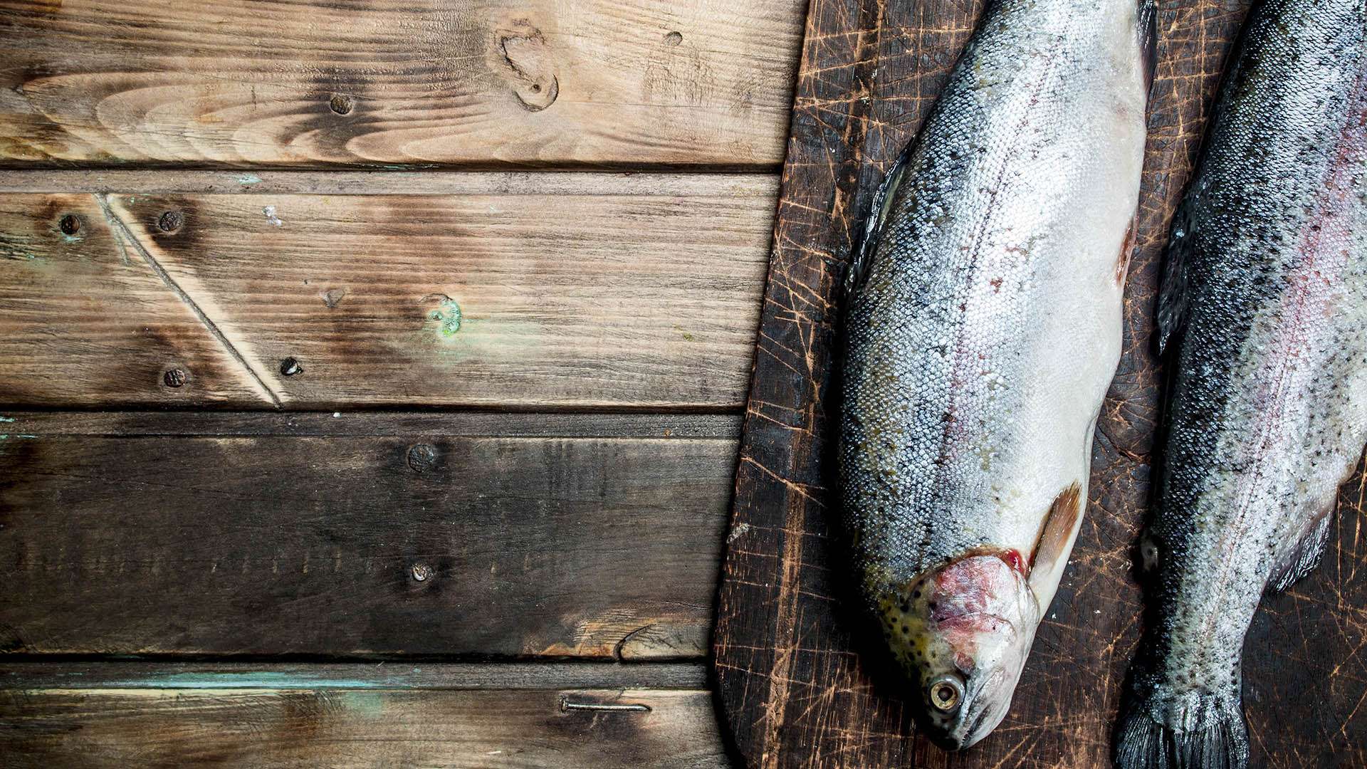 Alimentos azules y sus beneficios - Grupo Blumos Chile, an IMCD Company