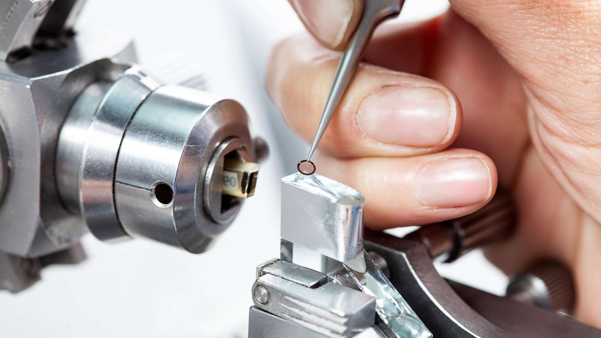 Microscopía electrónica, aliada de la industria cárnica - Grupo Blumos ...